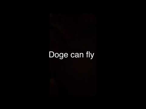 Doge can fly