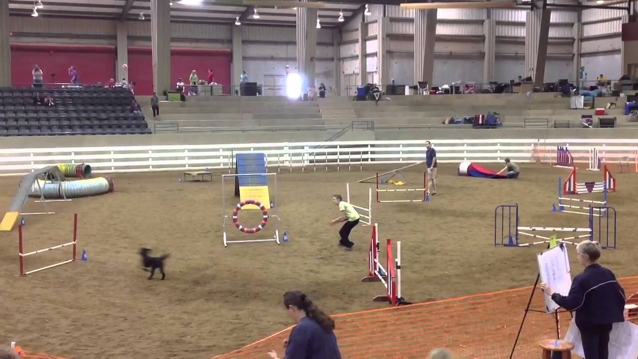 Max standard Pendleton - YouTube