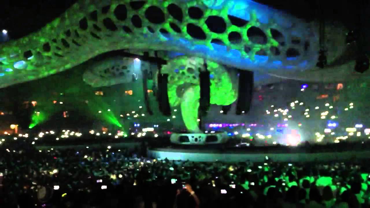 Sensation - Into The Wild - YouTube