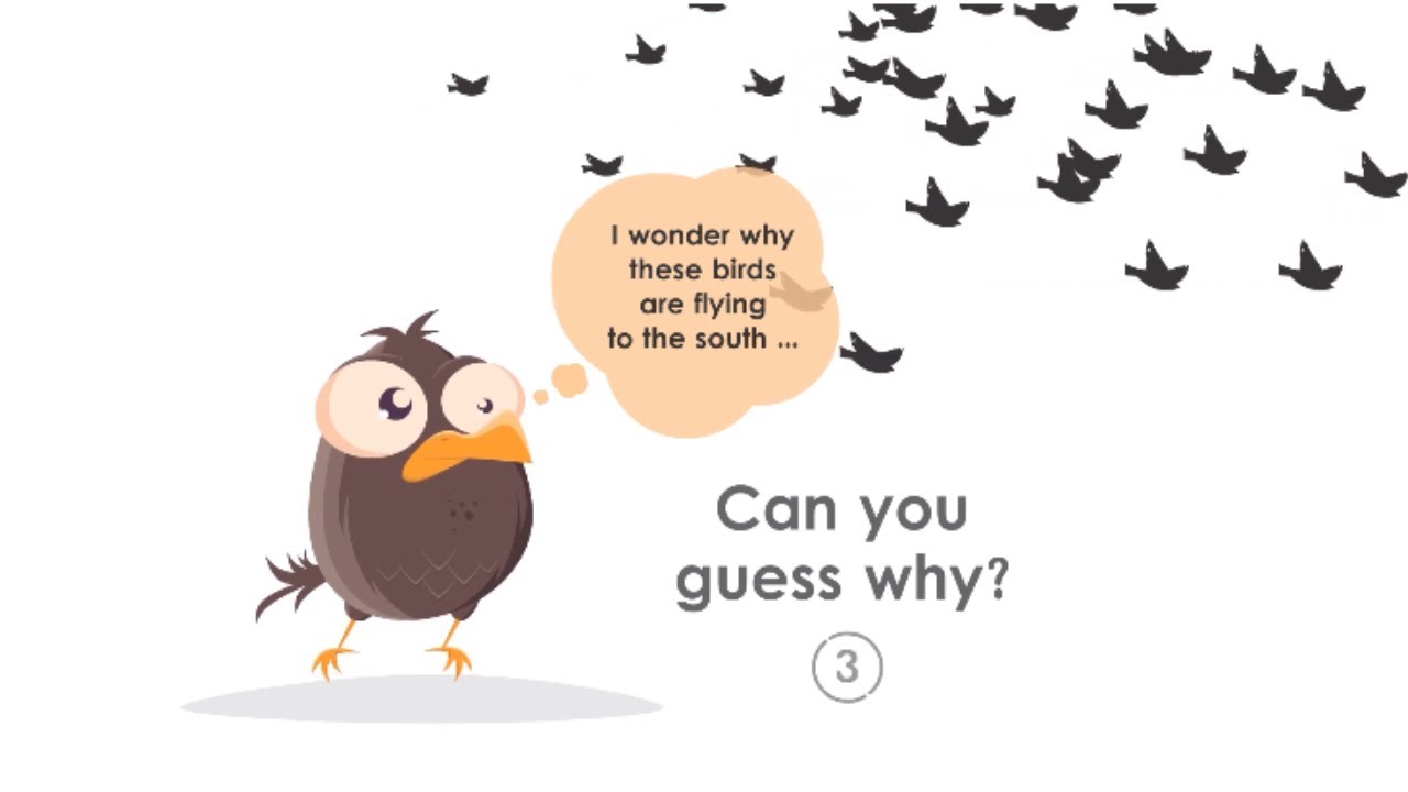 7 Funniest Bird 🐦 Riddles That Make You Giggly 😂 | Bird Riddles in ...