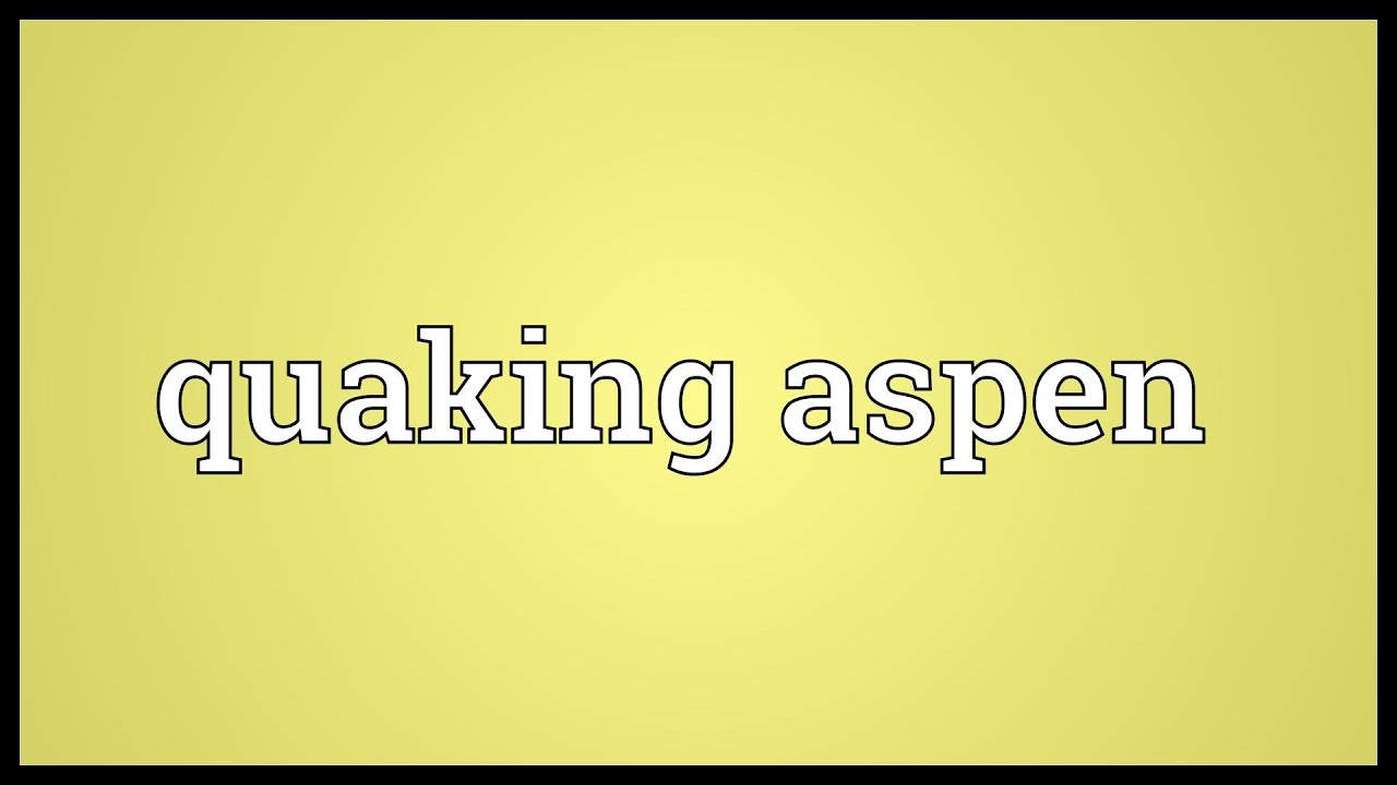 Quaking aspen Meaning - YouTube