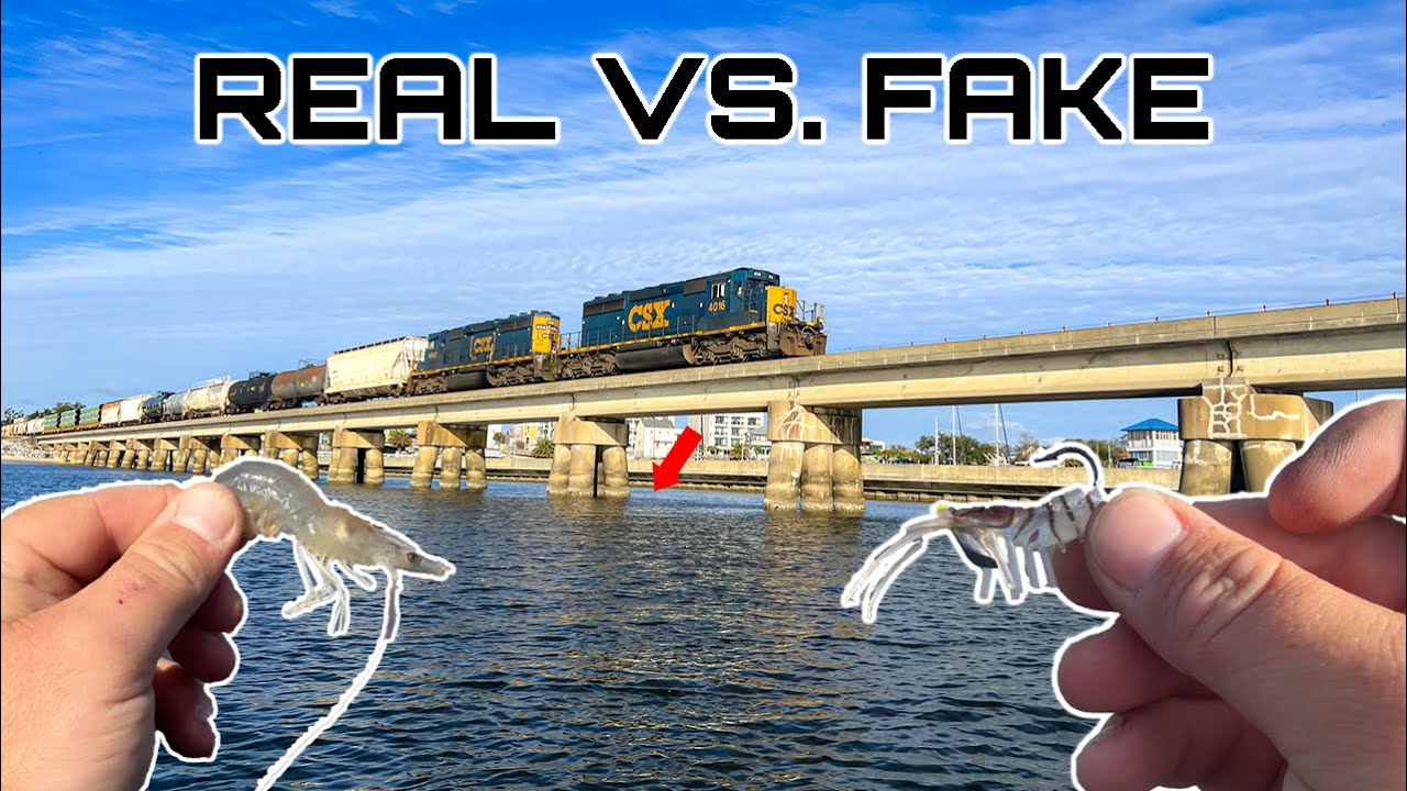 Fishing for Sheepshead REAL SHRIMP VS FAKE SHRIMP - YouTube