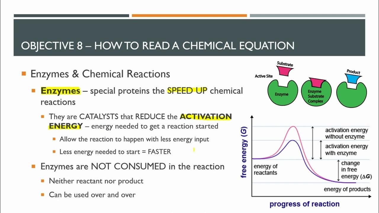 Ch 2 - Objective 8 - YouTube
