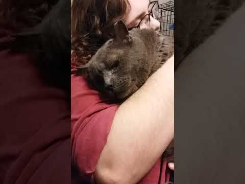 Mongo being precious - YouTube