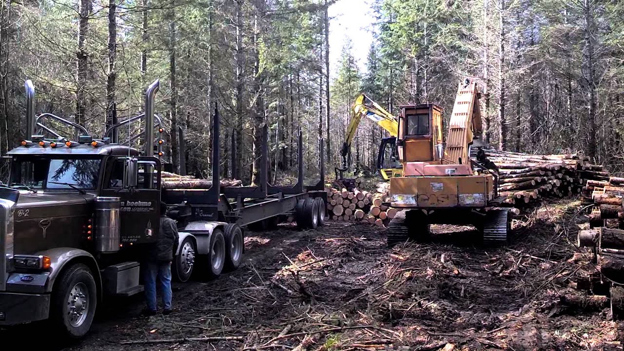 Loading a truck of pulp logs at the Hanson Family Forest. - YouTube