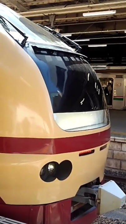 E653系国鉄色車両 新幹線代行臨時電車 2022.3 - YouTube