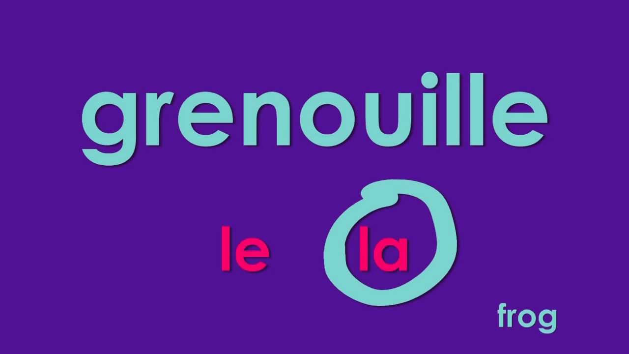 Learn French - Articles - Vocabulaire Animaux et insectes 2/5 - YouTube