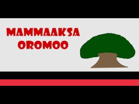 Mammaaksa Oromo ,Hiibboo,oduu durii, afoola afaan oromoo, OROMIC ...