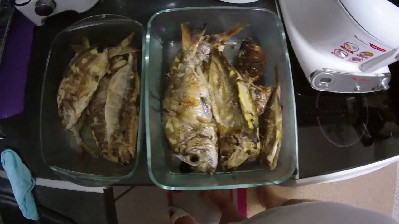 ψαροντουφεκο ψηνοντας τα ψαρια spearfishing roasting the fishes - YouTube
