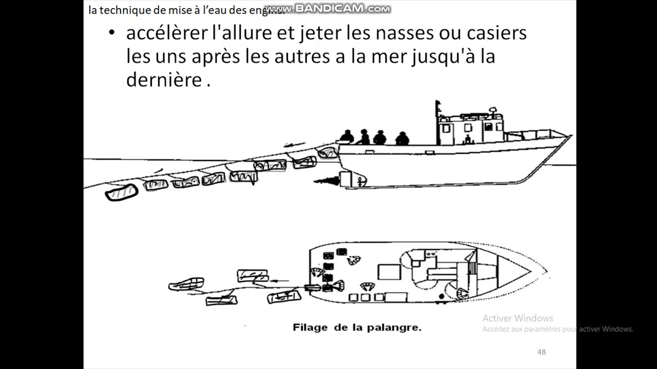 la pêche aux nasses et casiers partie 6 - YouTube