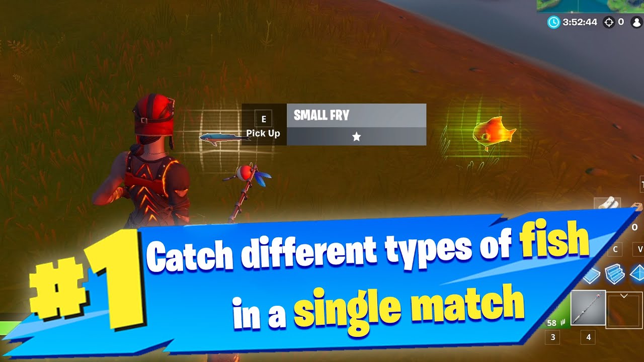 Catch different types of fish in a single match - Fortnite Chapter 2 ...