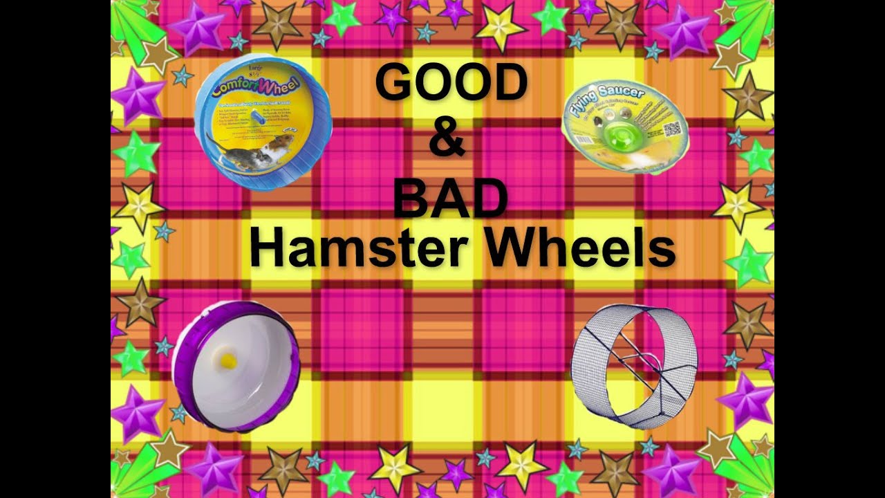 GOOD And BAD Hamster Wheels ||Kiwi Pets|| - YouTube