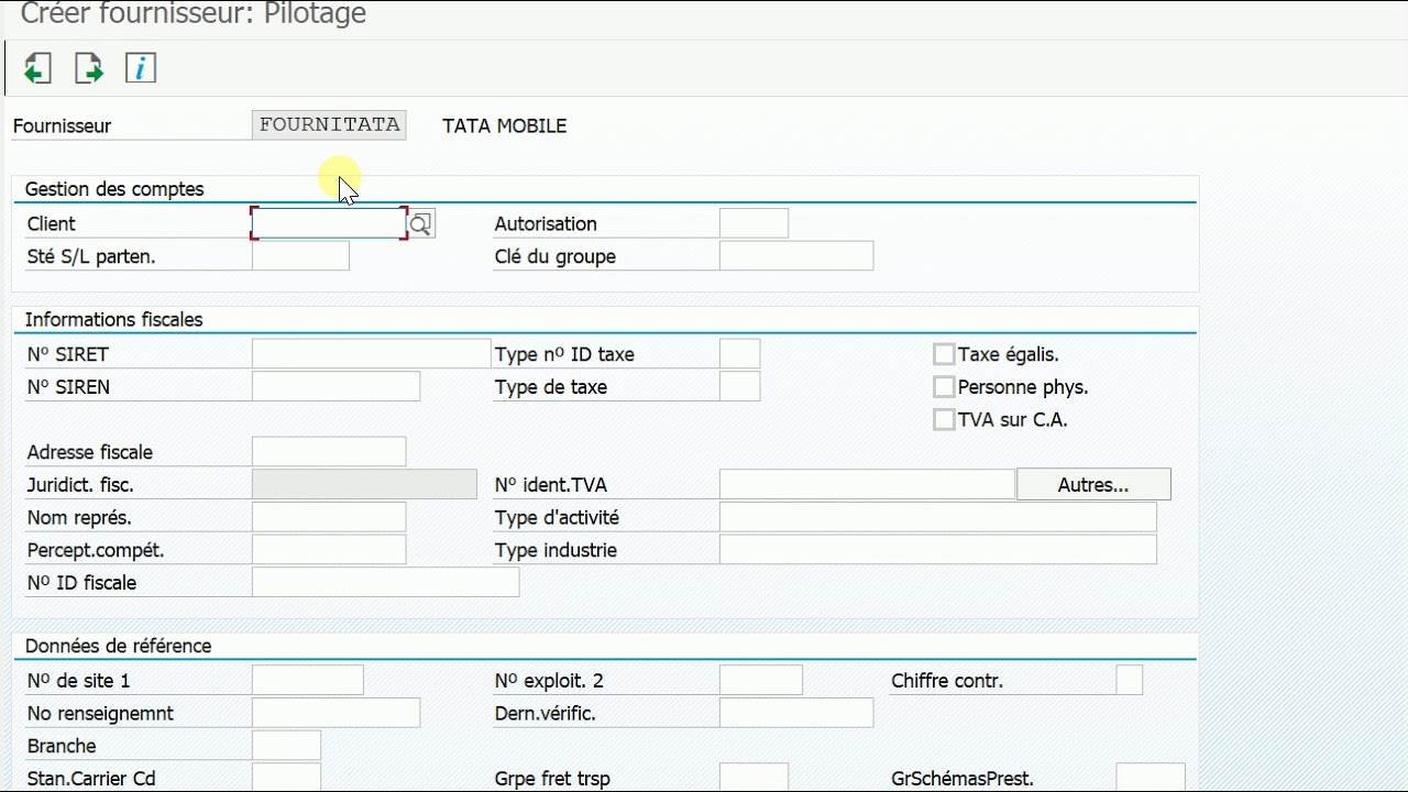 SAP : données de base appros de la fiche article - YouTube