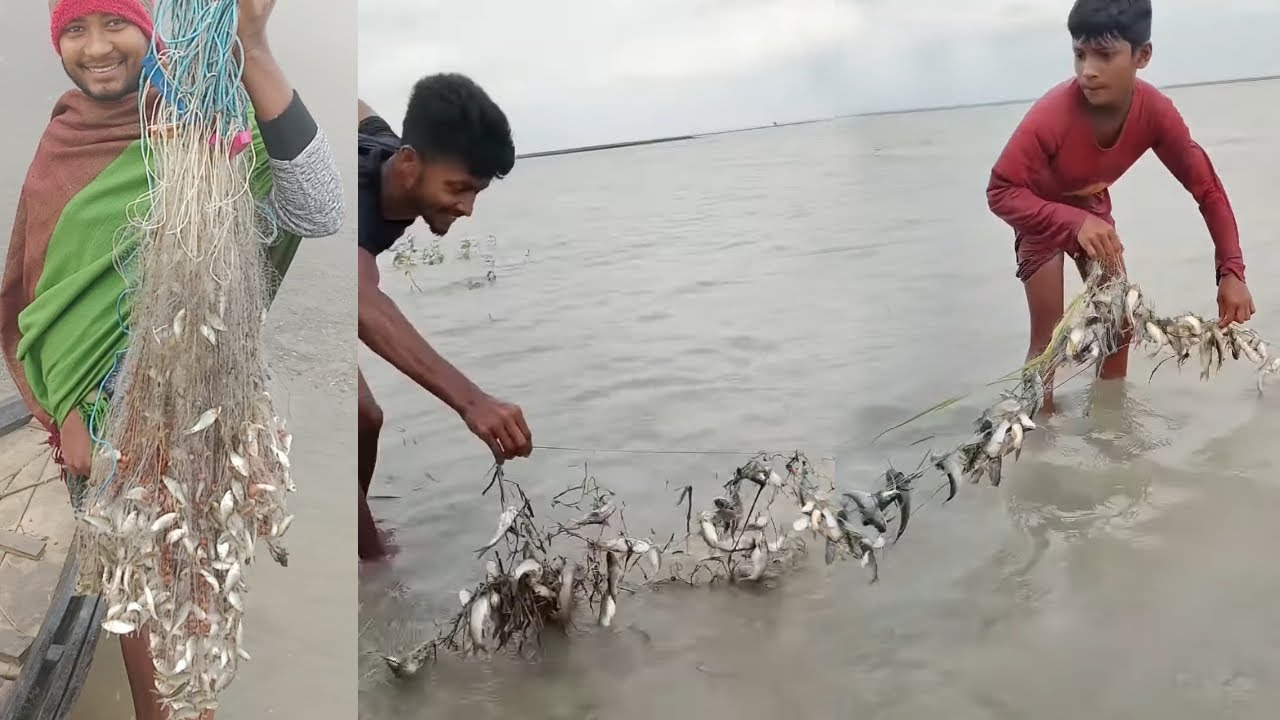 বৃষ্টিতে কারেন্ট জাল দিয়ে মাছ ধরার ধুম। Current net fishing in rainy ...