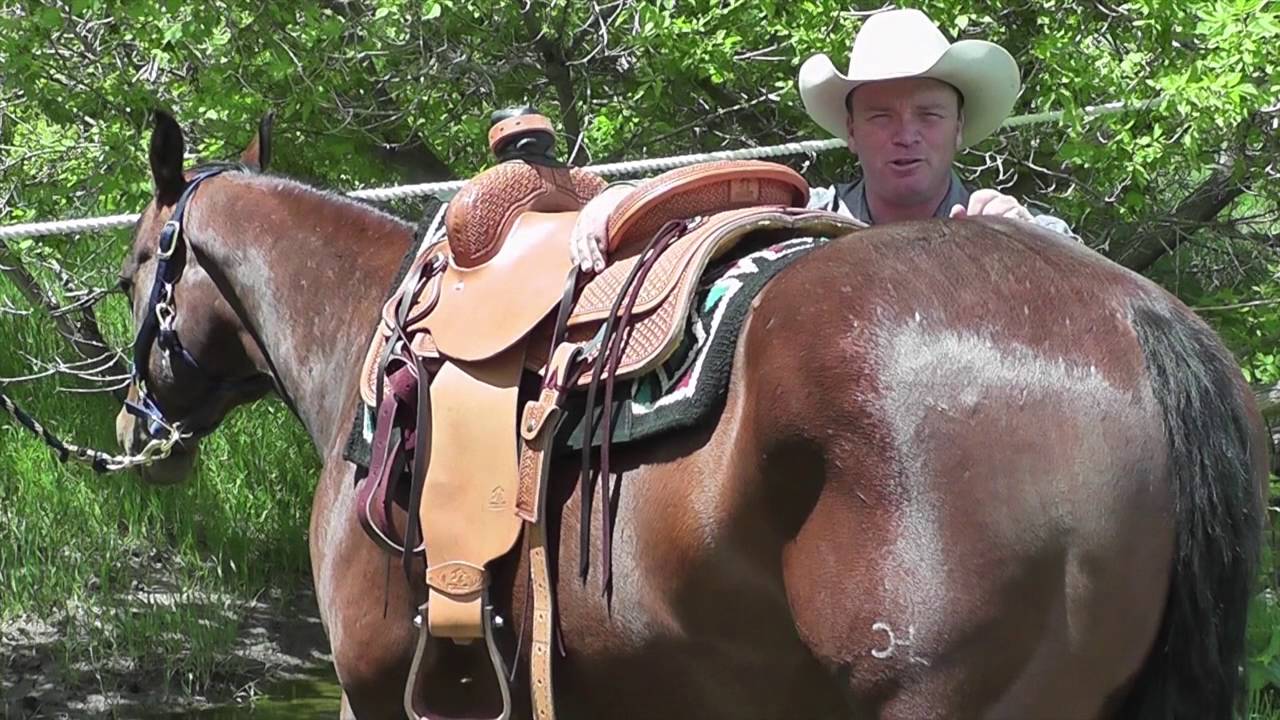 Proper Saddle Pad Fit - YouTube