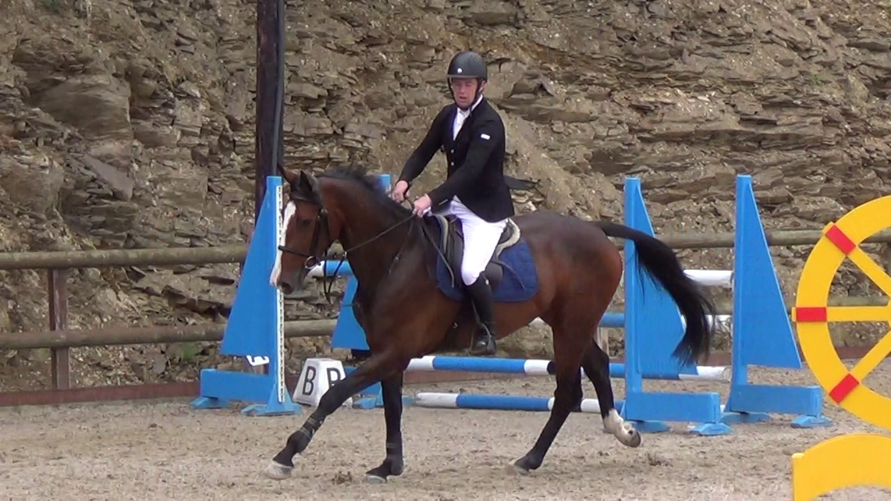 Vincent Howley - YouTube