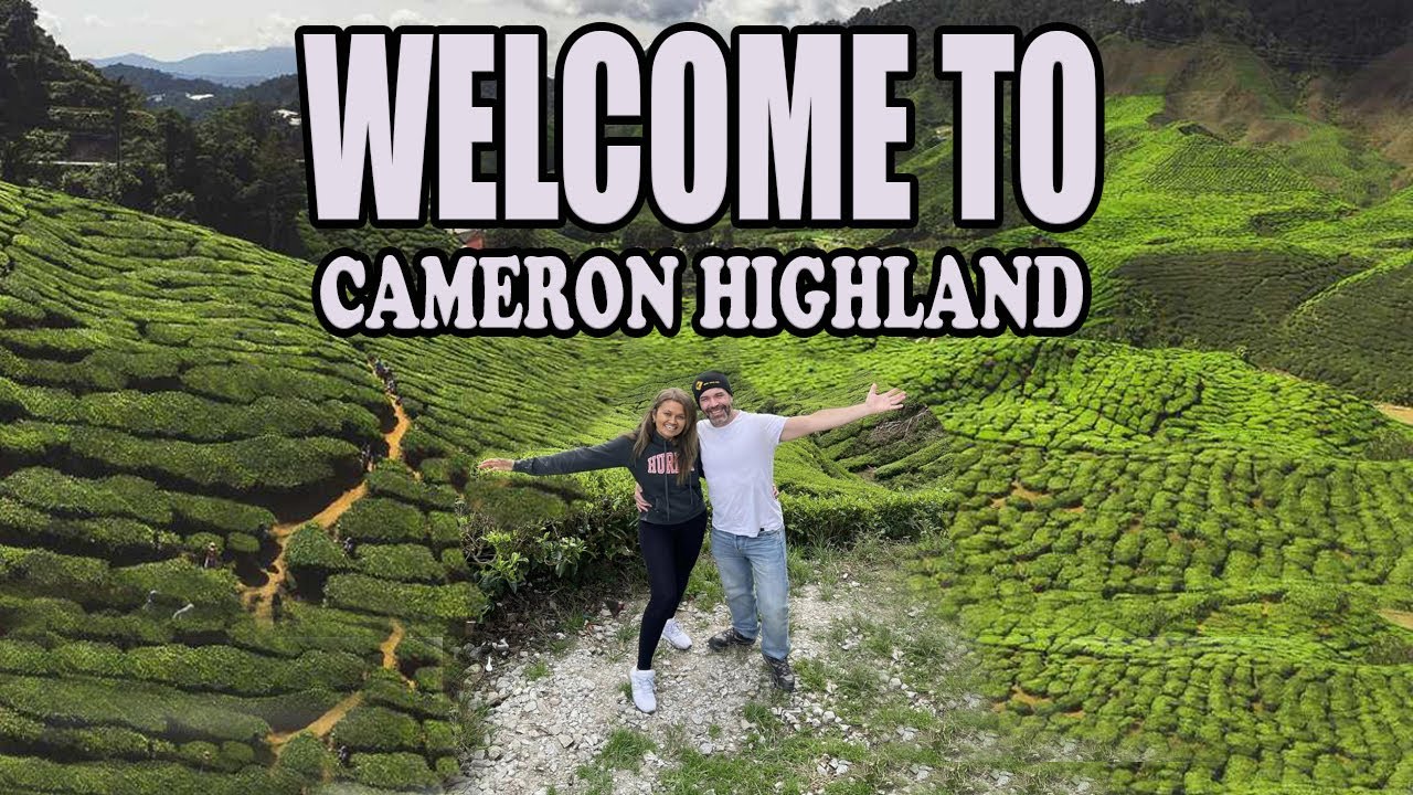 The Most Epic Cameron Highland Tour | Malaysia - YouTube