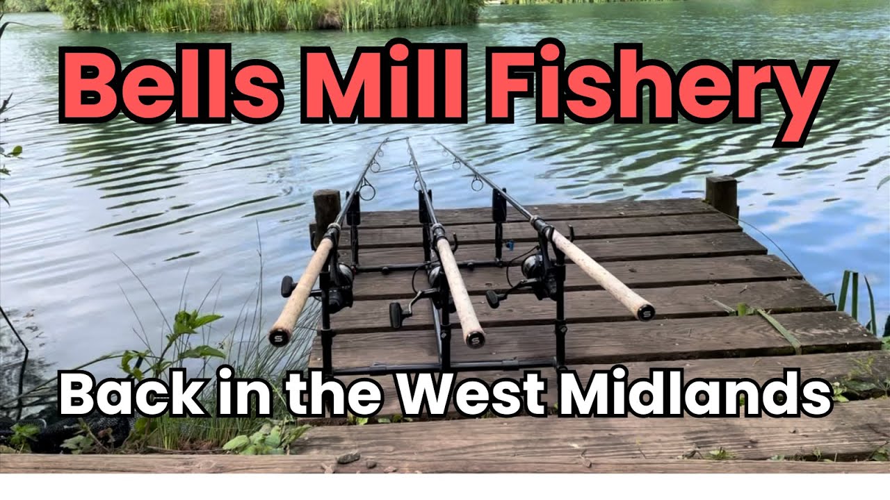 Bells Mill Fishery June 24 || Carp Pool || Swims 2, 3 & 4 - YouTube