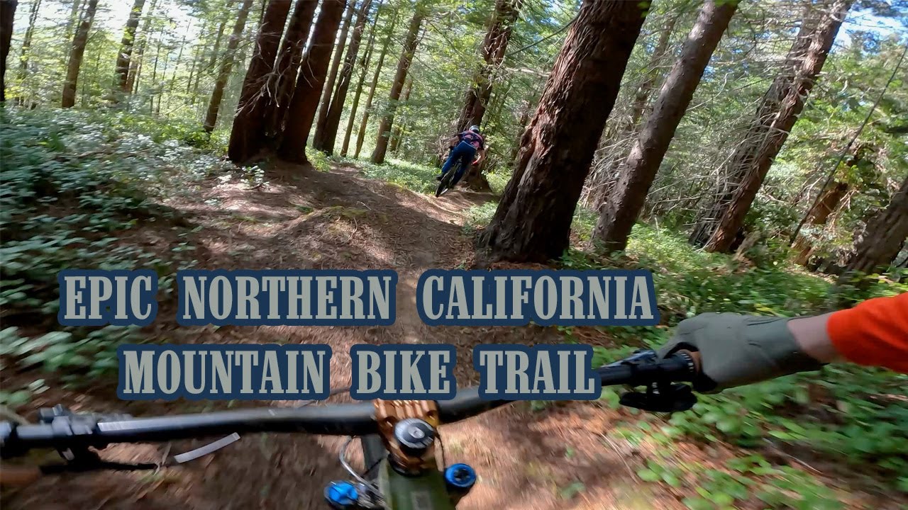 Epic Northern California Redwood Mountain Biking - YouTube