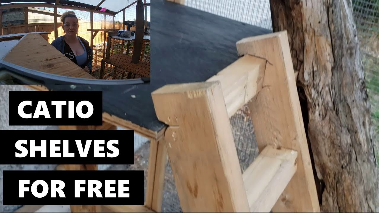 How to build Catio Shelves for free - YouTube