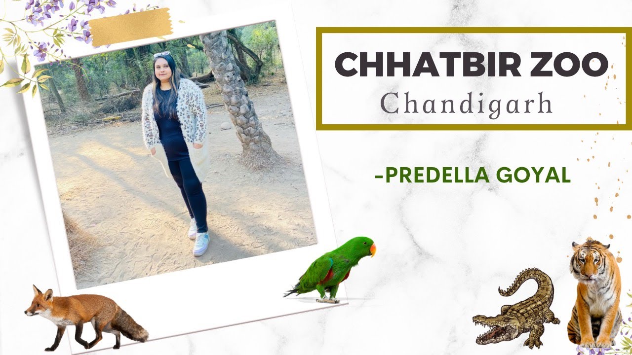 CHHATBIR ZOO CHANDIGARH | FAMOUS PLACE IN CHANDIGARH | DINOSAUR PARK IN ...