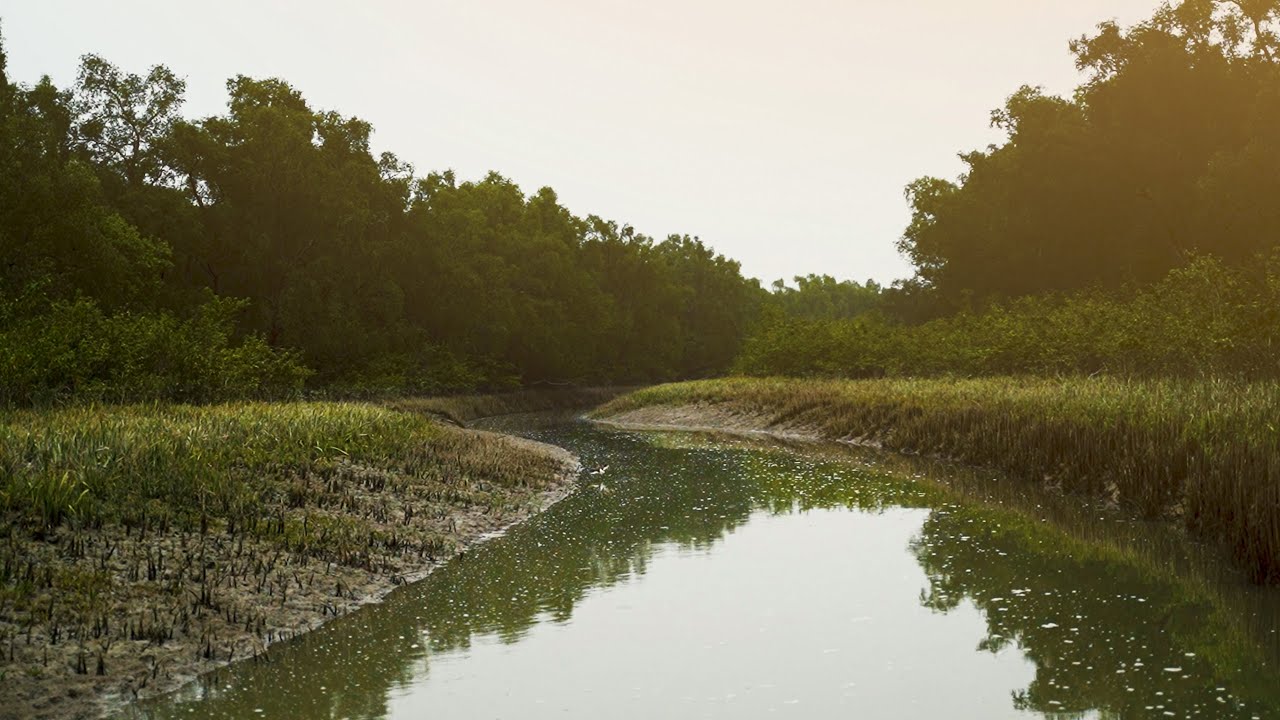 Nijhum Dwip || Cinematic Bangladesh - YouTube