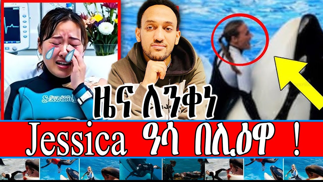 Jessica ዓሳ በሊዕዋ ! ዜና ለንቀነ - YouTube