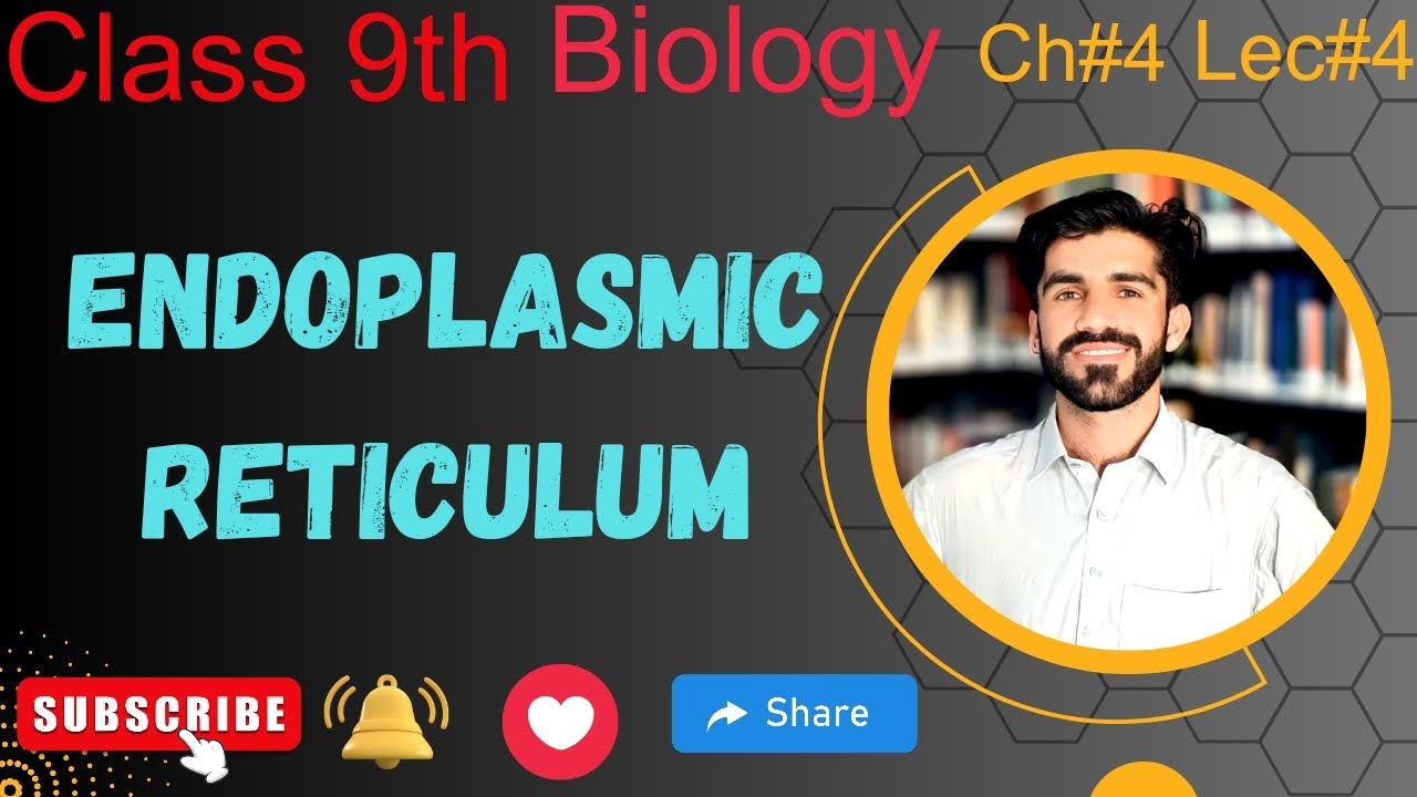 endoplasmic reticulum class 9 | endoplasmic reticulum 🔥 - YouTube