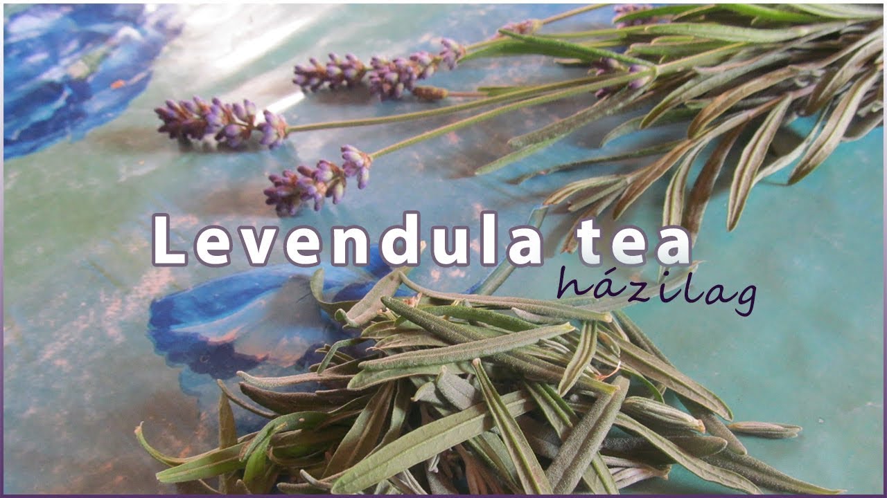 Levendula tea házilag (természetes nyugtató) - YouTube