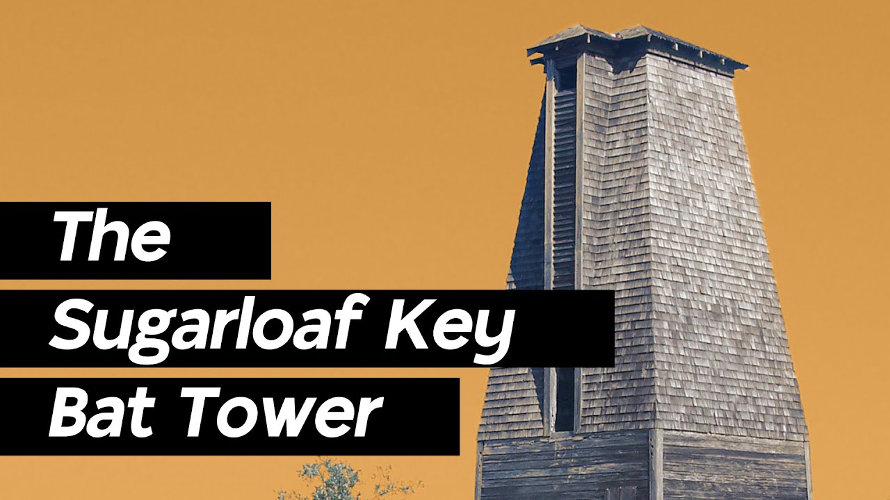 2 minutes on the Sugarloaf Key Bat Tower | epistemia - YouTube