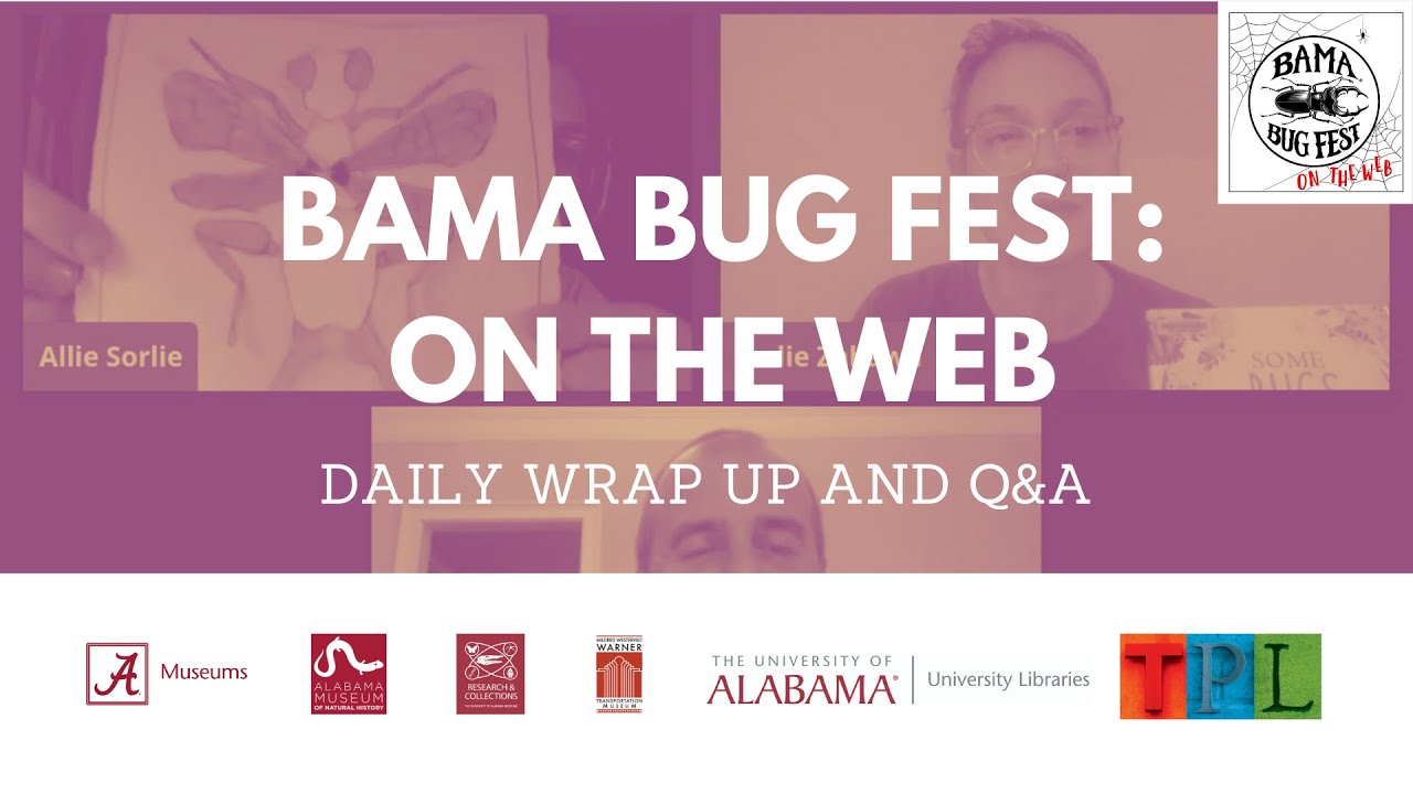 Bama Bug Fest: On the Web - Daily Wrap Up and Q&A (July 7) - YouTube