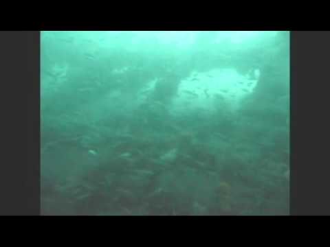 SMS KOLN, Scapa Flow, Spalding Sub Aqua Club - YouTube