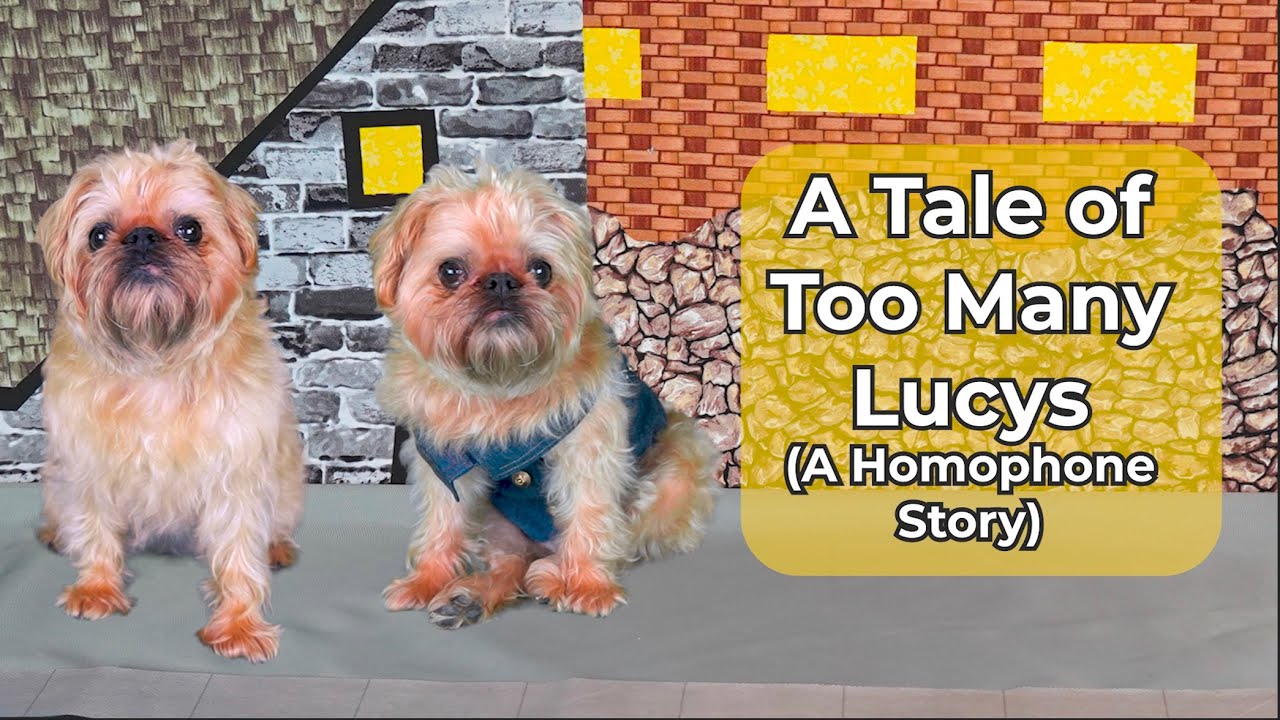 A Tale of Too Many Lucys: A Homophone Story About Too, Two, and To ...