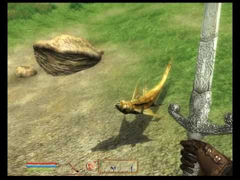 TES4 Oblivion - Wild Land Slaughterfish appeared! - YouTube