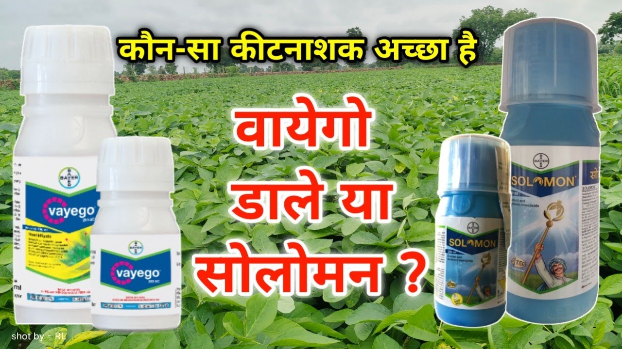 Bayer vayego और Bayer Solomon मे से अच्छा कीटनाशक कौन-सा है / vayego ...