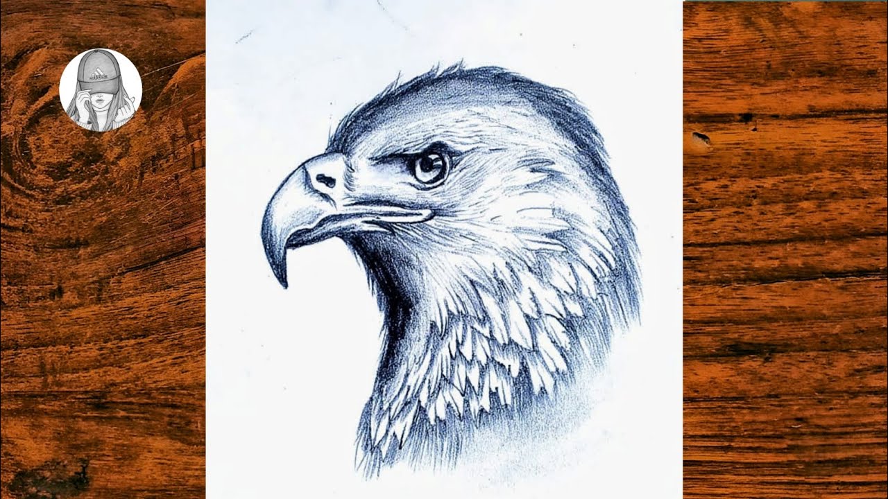 How to draw eagle | Eagle drawing easy | Eagle 🦅 drawing | eagle ...