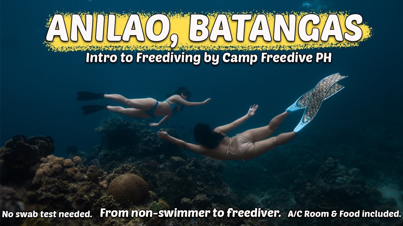 ANILAO, BATANGAS (Intro to Freediving by Camp Freedive PH + Expenses ...