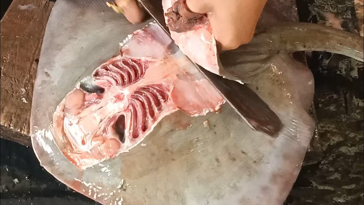 Torke fish Cutting skills | ತೊರ್ಕೆ ಮೀನು ತುಂಡುಮಾಡುವ ವಿಧಾನ - YouTube
