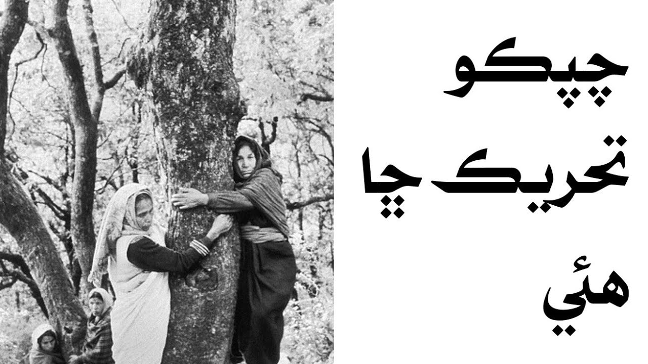 Chipko movement history India | True Story | How to protect trees ...