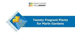 Twenty Fragrant Plants for Marin Gardens