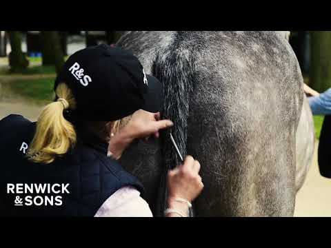 How To Pull Your Horse's Tail To Perfection: Renwick & Sons Masterclass