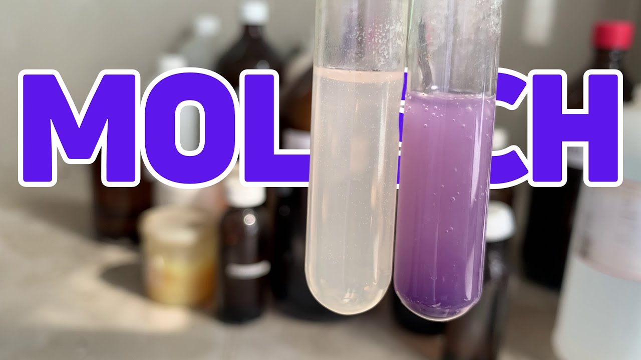 Tes Molisch pada Karbohidrat - YouTube