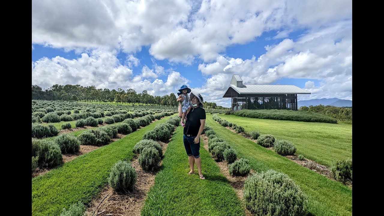 1st day at the farm - Boonah QLD - YouTube