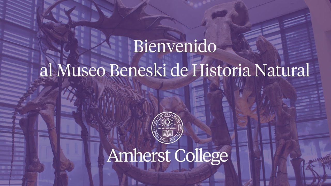 Bienvenido al Museo Beneski de Historia Natural - YouTube