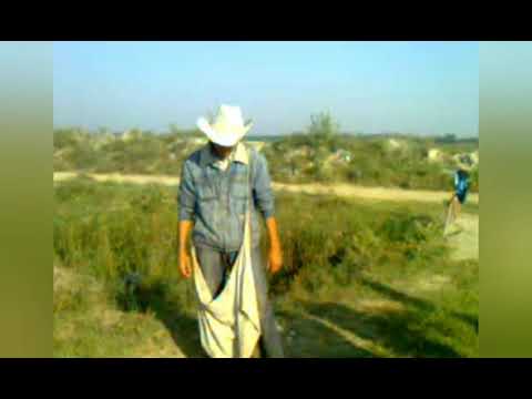 Paxta 2010 yil talabalik oltin davir