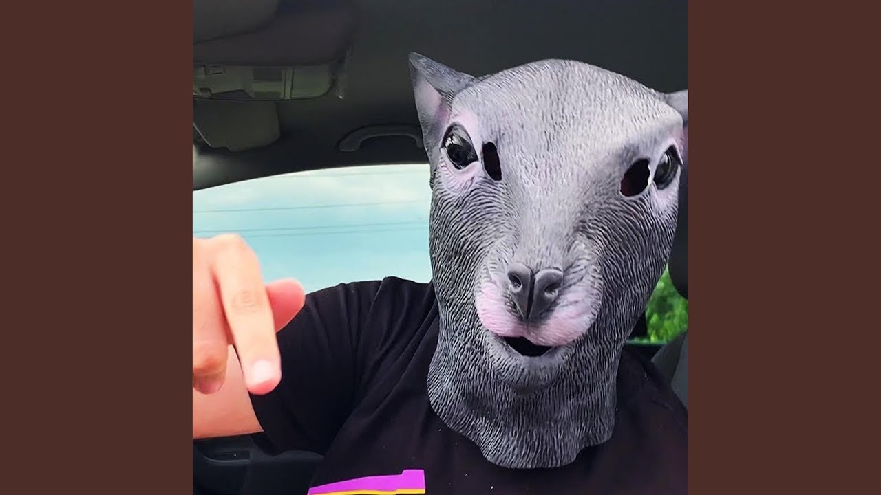 Sobolan la Volan - YouTube