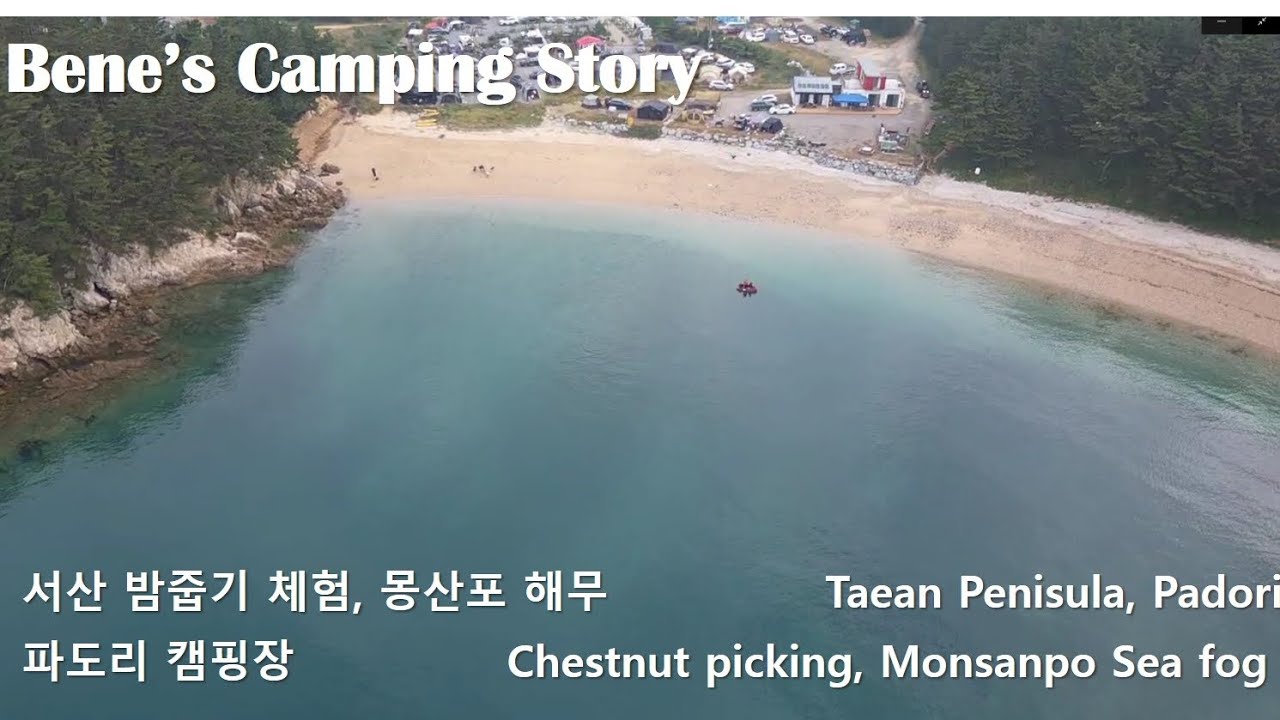 [Eng. sub] 10th trip ep1. 태안 파도리, 몽산포, 서산 밤줍기 체험, Korea, Taean ...