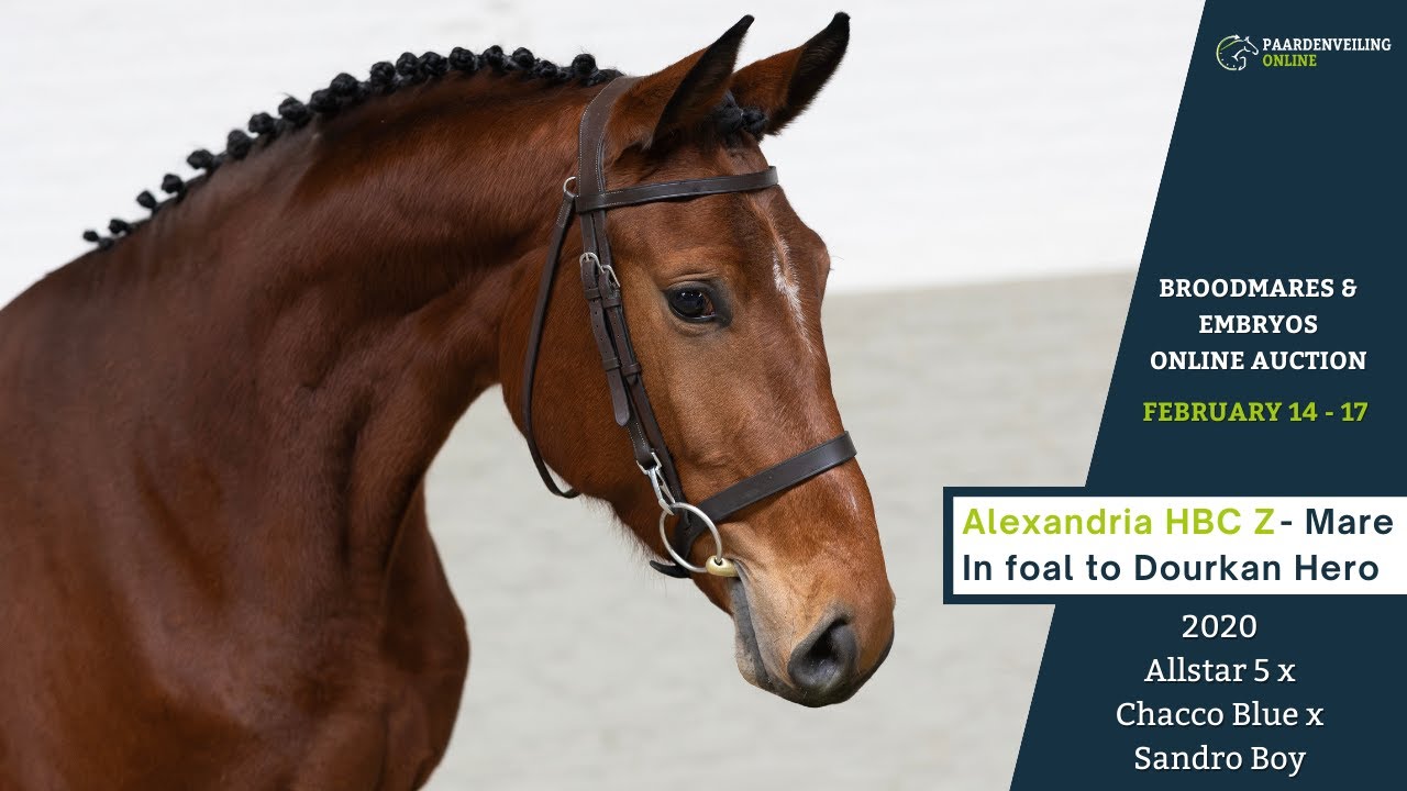 Alexandria HBC Z – Broodmares & Embryos Online Auction ...