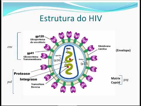 Celula Do Virus Hiv