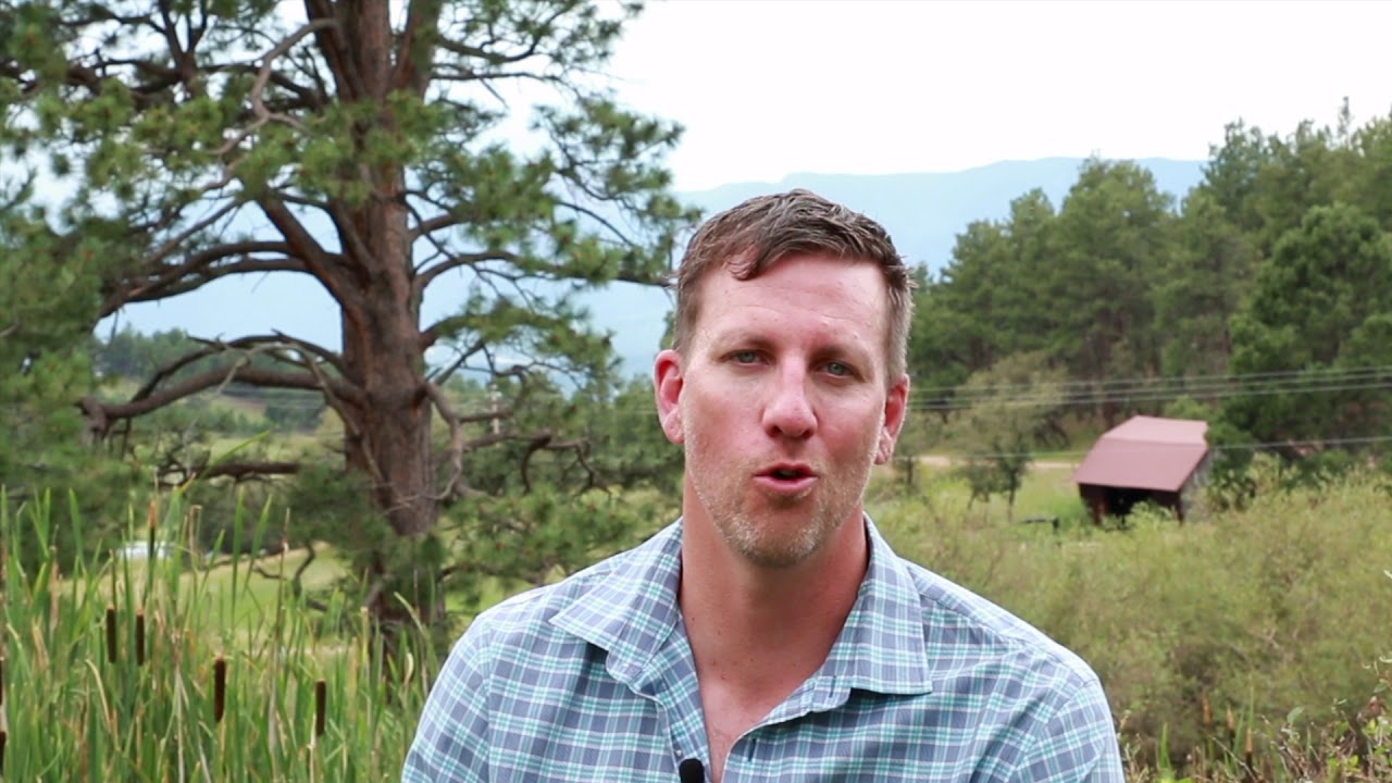 Testimonial - Scott Cutlan | Founder at New Reach Foundation - YouTube